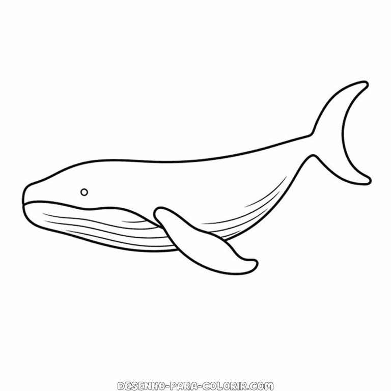 Desenho de baleia jubarte para colorir | Desenho Para Colorir Desenho de baleia jubarte para colorir | Desenho Para Colorir